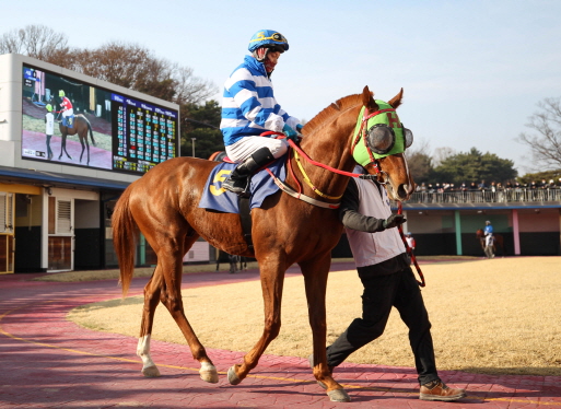 스프린터 시리즈 제2관문, 제32회 SBS스포츠 스프린트(G3) 주인공은?